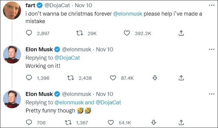 Doja Cat Begs Elon Musk To Help Her After Making Mistake With Her