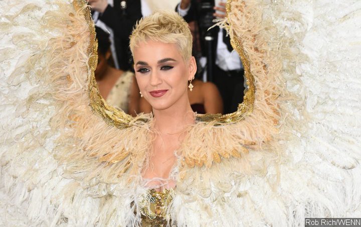 Katy Perry Wishes to Star in Comedy Movie
