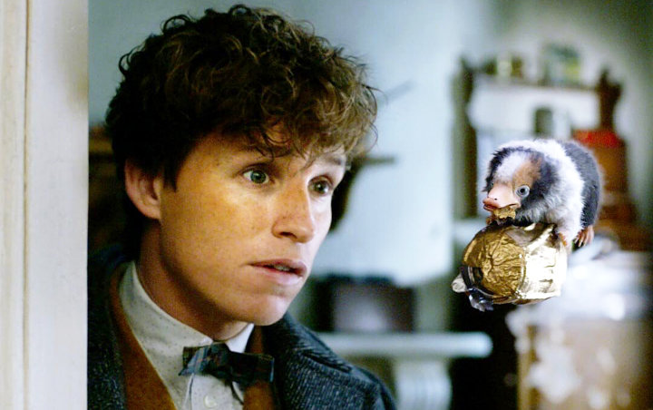 First Photos: 'Fantastic Beasts: The Crimes of Grindelwald' Unveils ...