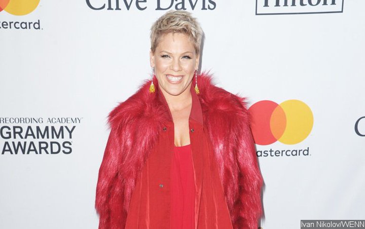 Pink Resumes Australian Leg of Her Tour After Hospitalization