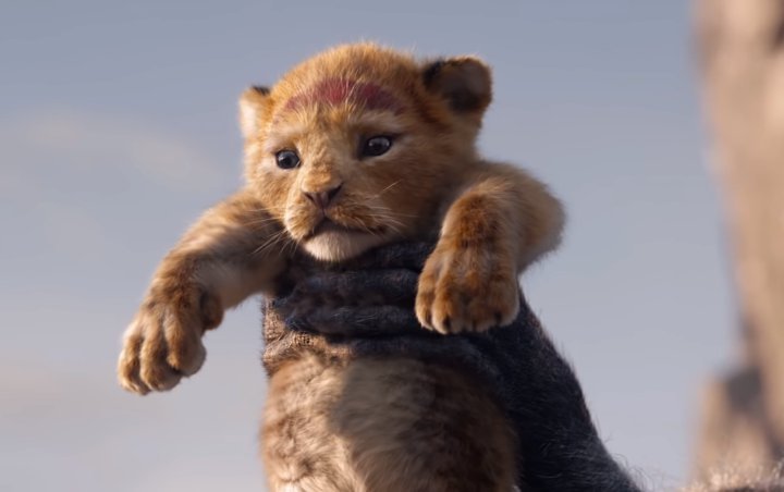 Disney's Live-Action 'The Lion King' Introduces Little Simba in First ...