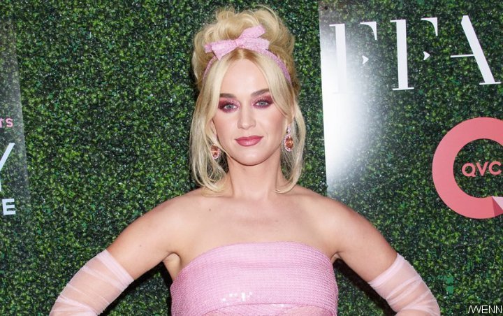 Find Out What Inappropriate Behavior Led Katy Perry to Be Suspended ...