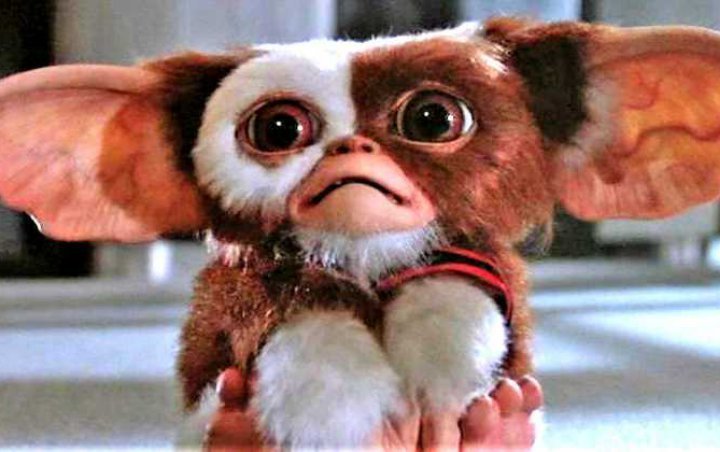 'Gremlins' Animated Series in the Works on WarnerMedia's Upcoming ...