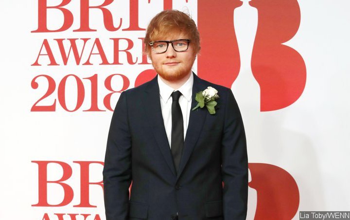 Ed Sheeran in the Clear From Accusation of Plan to Use Wildlife Pond as ...