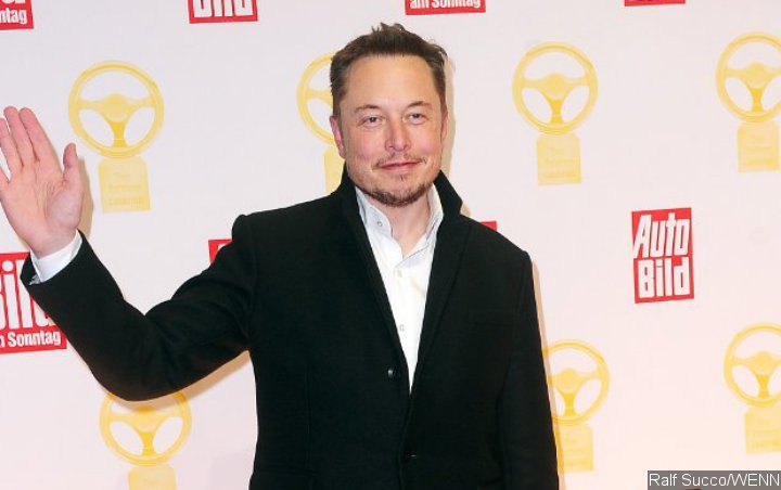 Elon Musk Is Now a Rap Star, Releases New Song Honoring Dead Gorilla ...
