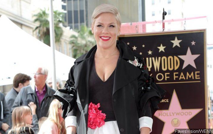 Pink Wins Supports for Photo of Her Children Running Around Holocaust ...