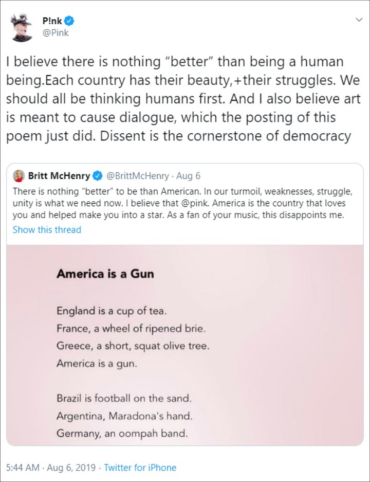 Pink Defends Controversial Gun Violence Poem: Art Is Meant to Cause ...