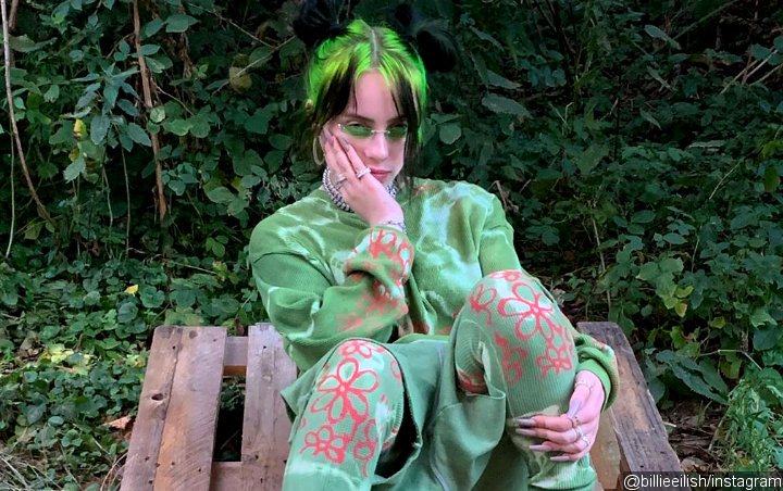Billie Eilish Pleads With Social Media Fans To Be Nicer To Each Other