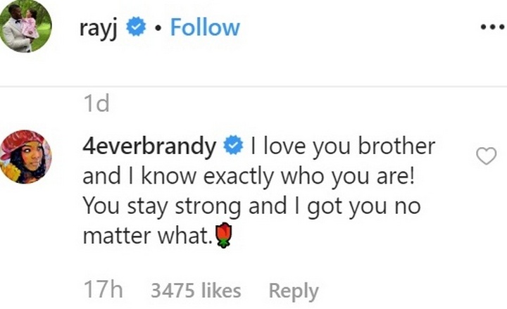 Brandy Takes Brother Ray J's Side in His Family Feud With Pregnant Wife ...