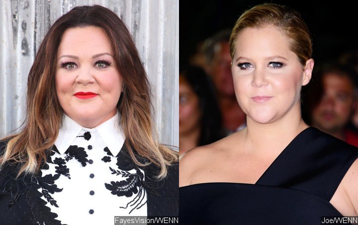 Melissa McCarthy Recalls Being Mistaken for Amy Schumer During Dry ...