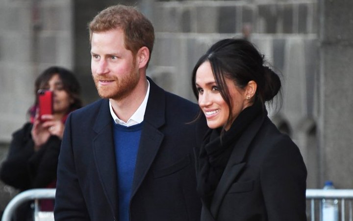 Prince Harry Sells Hunting Guns After Giving Up the Blood Sports Due to ...