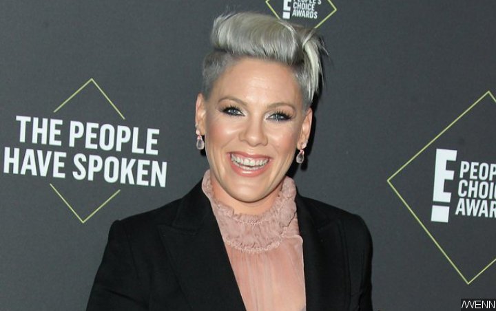 Pink Challenges Donald Trump's Supporters After Calling Against His Re ...