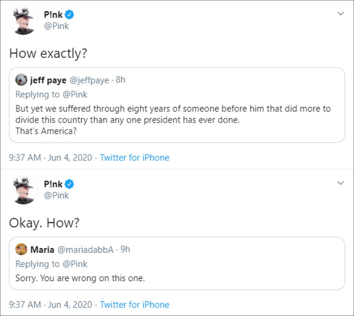 Pink Challenges Donald Trump's Supporters After Calling Against His Re ...