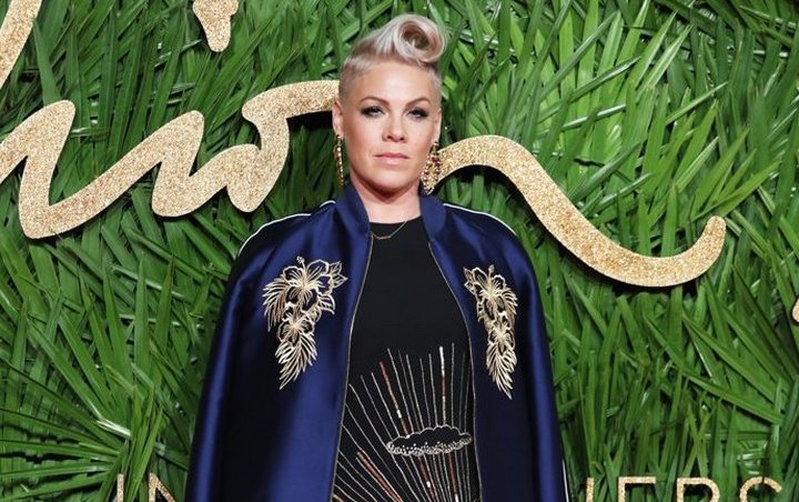 Pink Feels 'Disgusted and Embarrassed' by Racism, Donates for Black ...