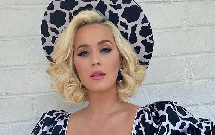 Katy Perry Faces Backlash for Consoling Family Members Who Support ...