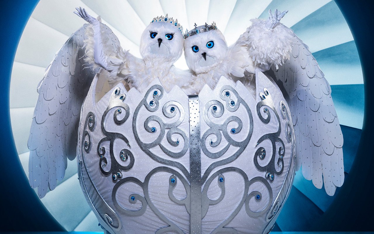 'The Masked Singer' Recap: The Snow Owls Are Revealed to Be Country ...