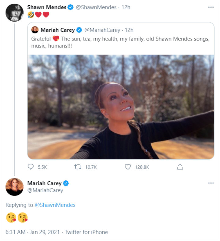 Shawn Mendes Loves Mariah Carey's Best Response to His Post About Her