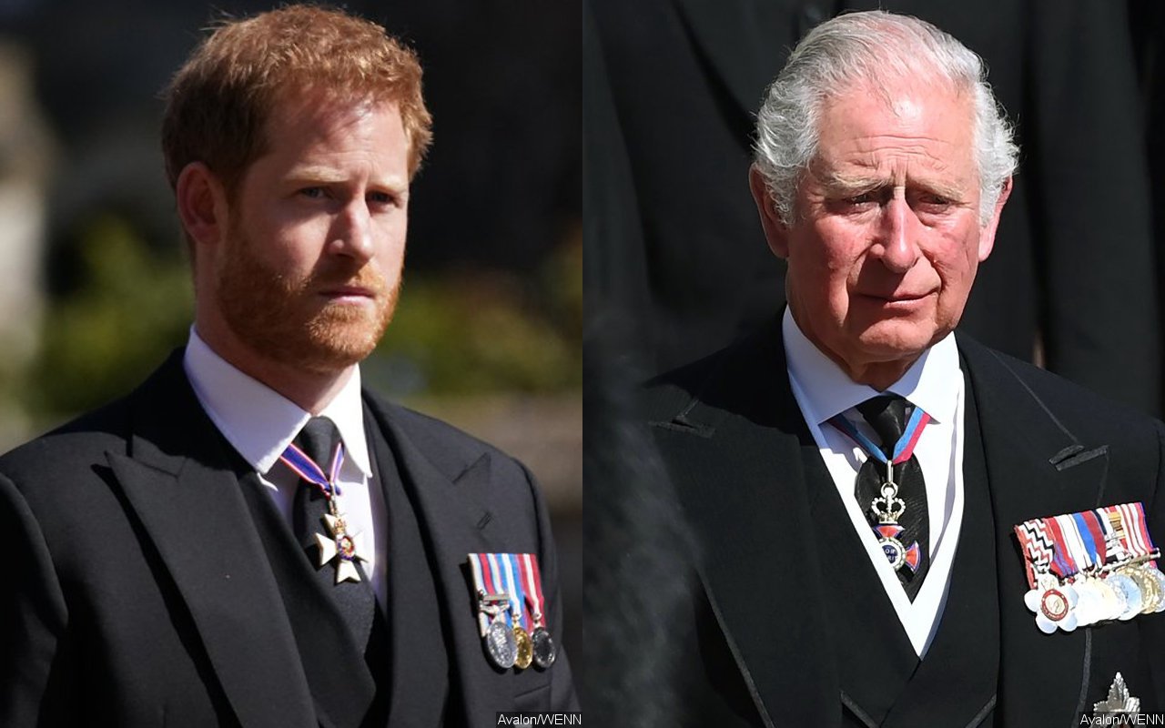 Prince Harry Branded 'Ungracious' for Hurtful Remarks About Dad Charles ...