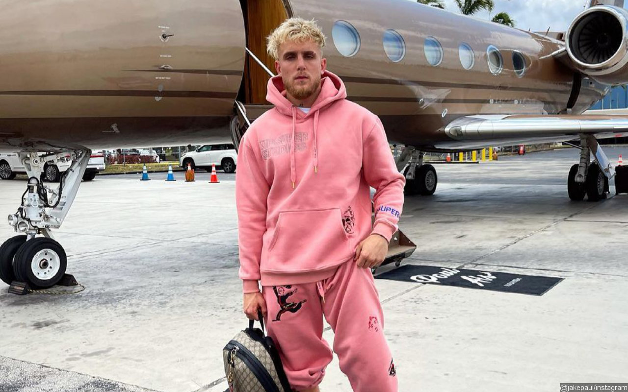 Jake Paul Allegedly Claims to Having No Idea About Turtle Nesting Amid ...