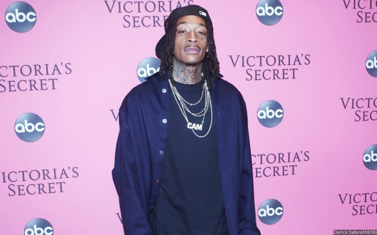 Wiz Khalifa Looks Unrecognizable With His New Lace-Front Beard