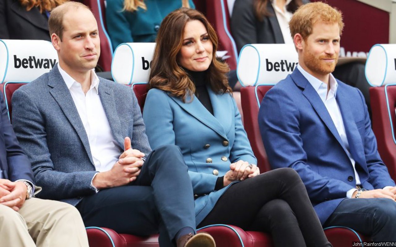 Prince Harry Informs Prince William About Daughter's Arrival Through ...