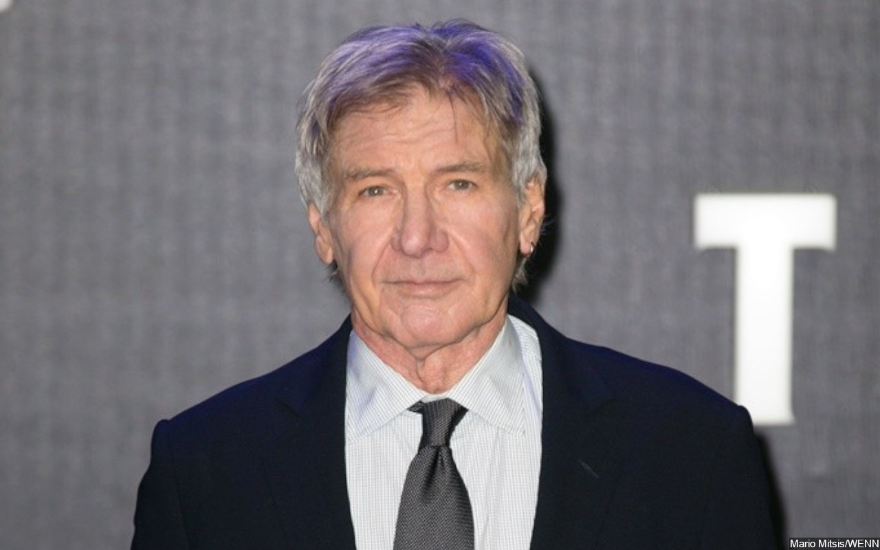 Harrison Ford Spotted Wearing Arm Sling After Getting Injured on ...