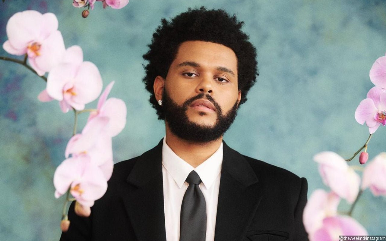 The Weeknd Slammed for Promoting 'Harmful' Take on Sobriety With 'Sober ...
