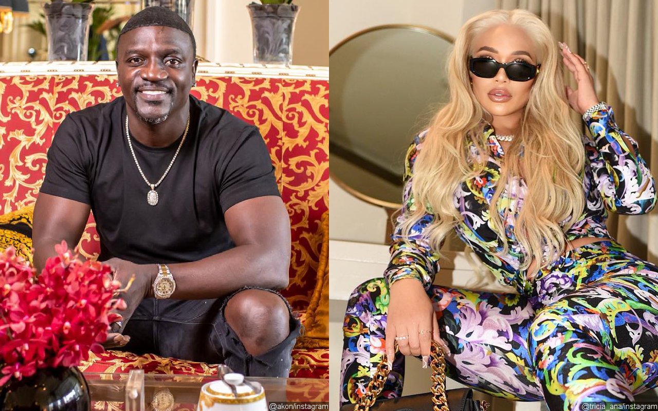 Akon's Ex Tricia Ana Gets 20 Stitches Following Brawl At Hollywood ...