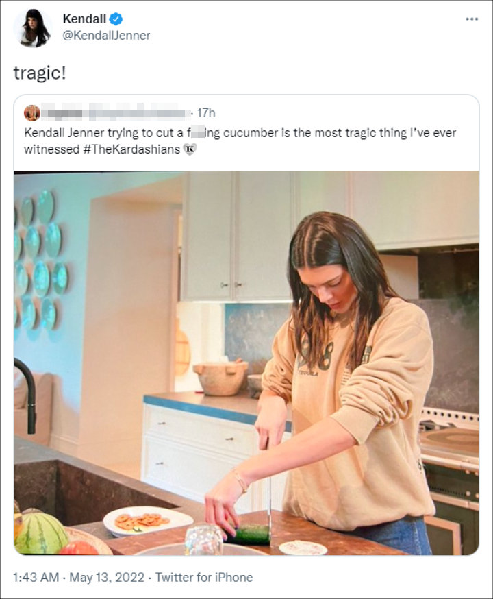 Kendall Jenner Gets Playful in Response to Her Viral Cucumber Cutting Fail