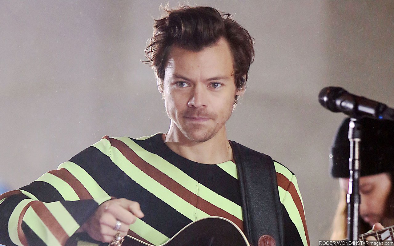 Harry Styles 'Shocked' Over Shooting Near His Concert Venue