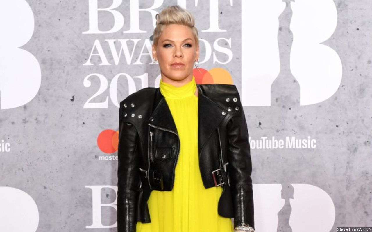 Pink Donates Proceeds From Fired-Up Protest Anthem 'Irrelevant' After ...