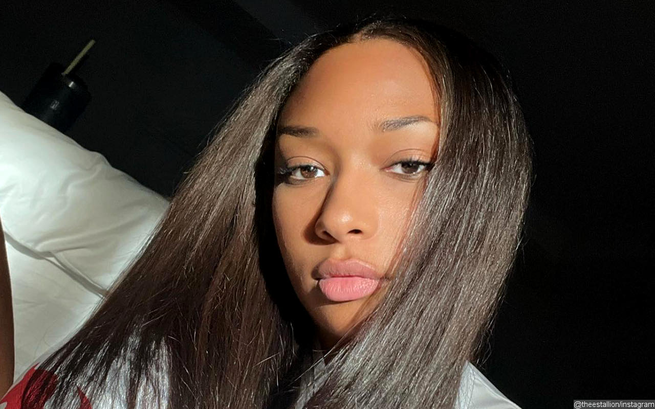 Megan Thee Stallion Flaunts Healthy Natural Hair Amid Wigs 'Quick Break'