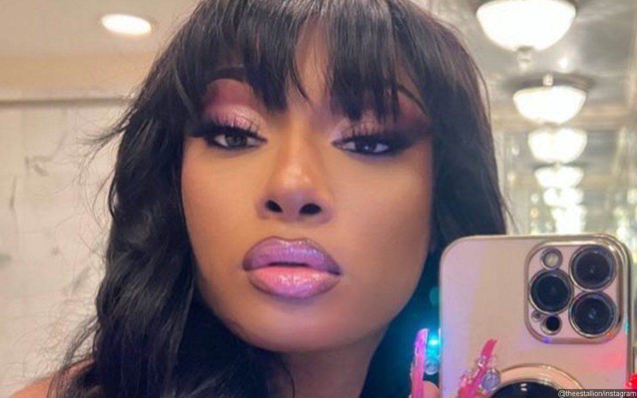 Megan Thee Stallion Pulls Double Duty in 'Saturday Night Live' Season 48