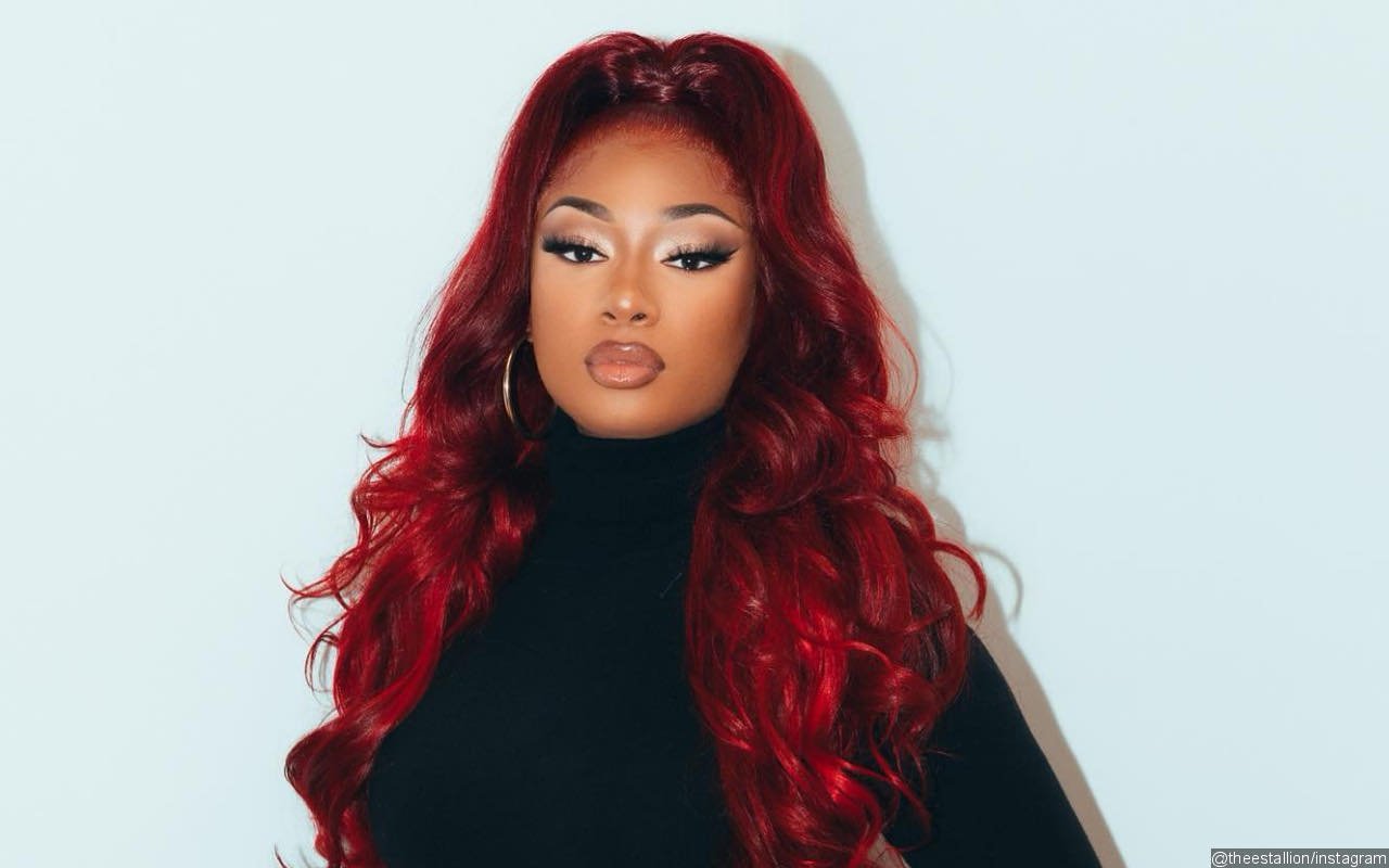 Megan Thee Stallion Teases New Collaboration With Netflix's 'Stranger ...