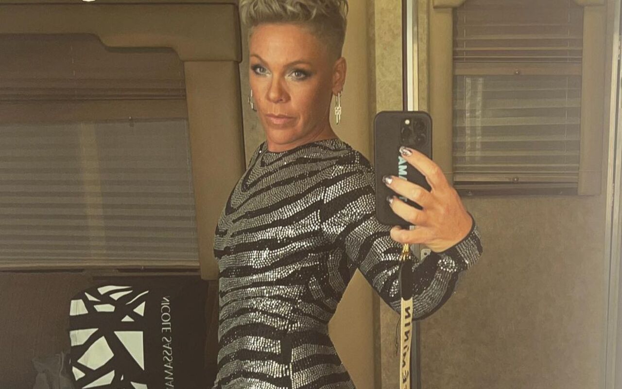 Pink Says Having Children Makes Her Feel Less 'Empty' in 'Very Lonely ...