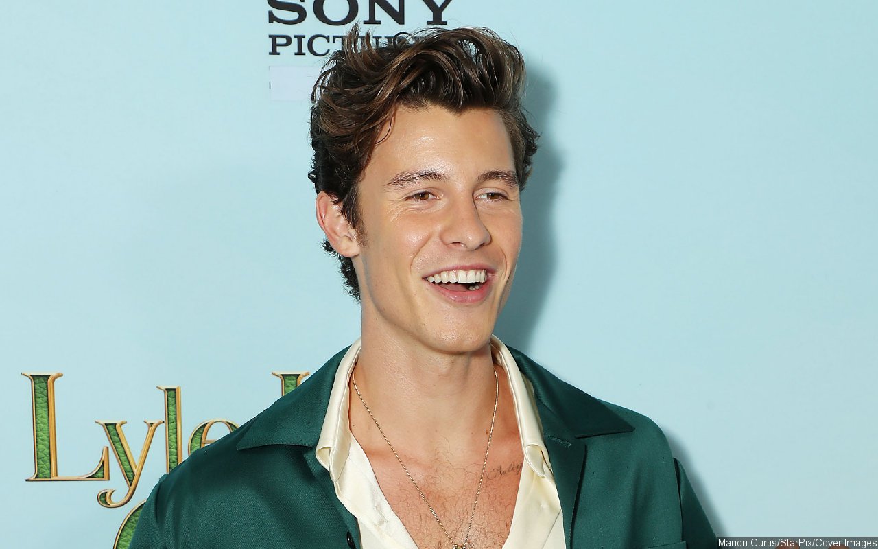 Shirtless Shawn Mendes Spotted Hiking With His Rumored Chiropractor GF