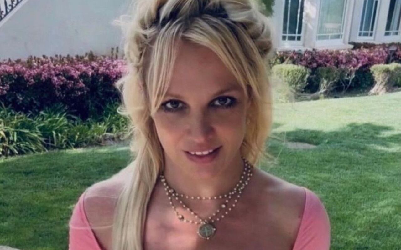 Britney Spears Remains Survivor Despite Ups And Downs After