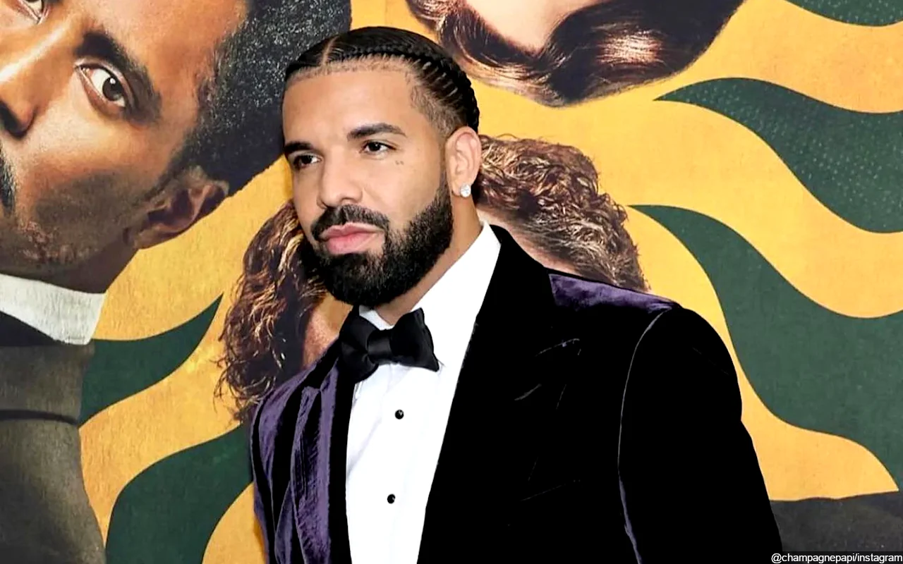Drake Scolds Male Fan for Starting a Tussle With a Woman Over His ...