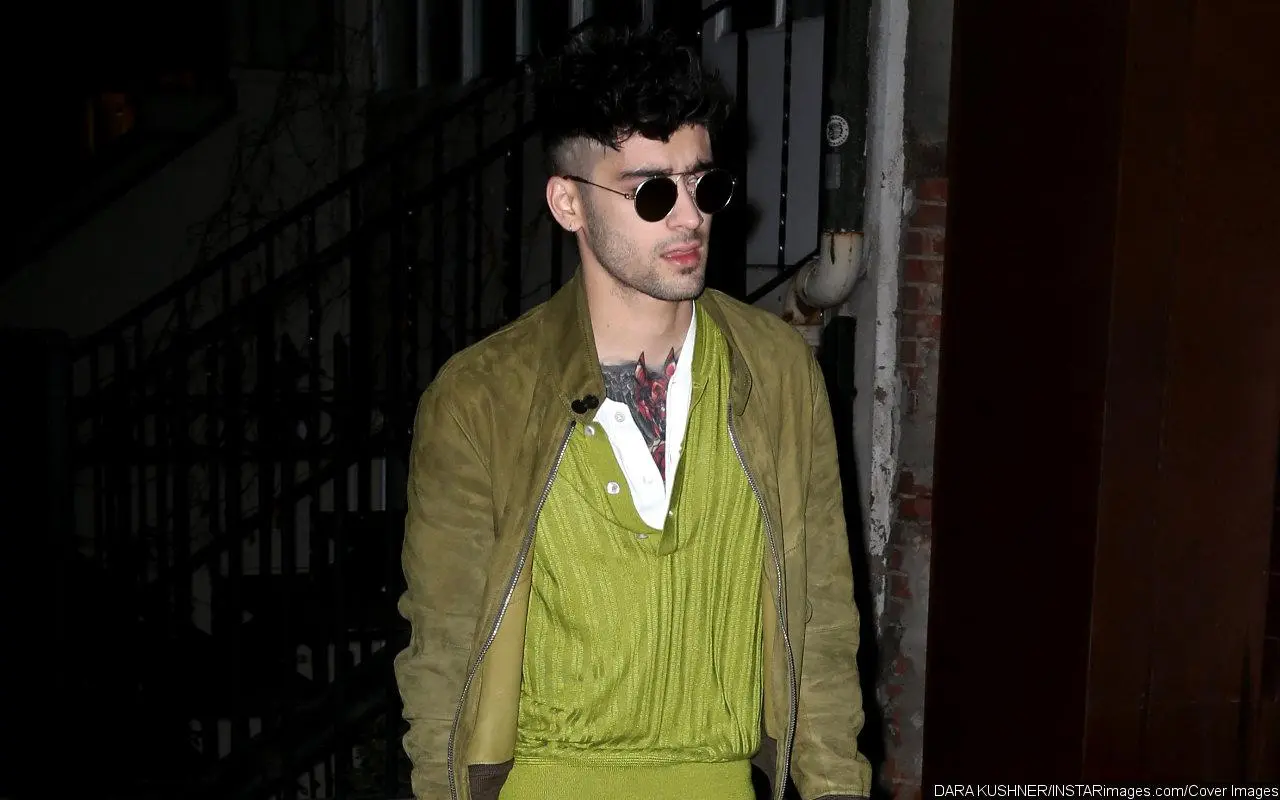 Zayn Malik Writing Music for New Animated Movie '10 Lives'