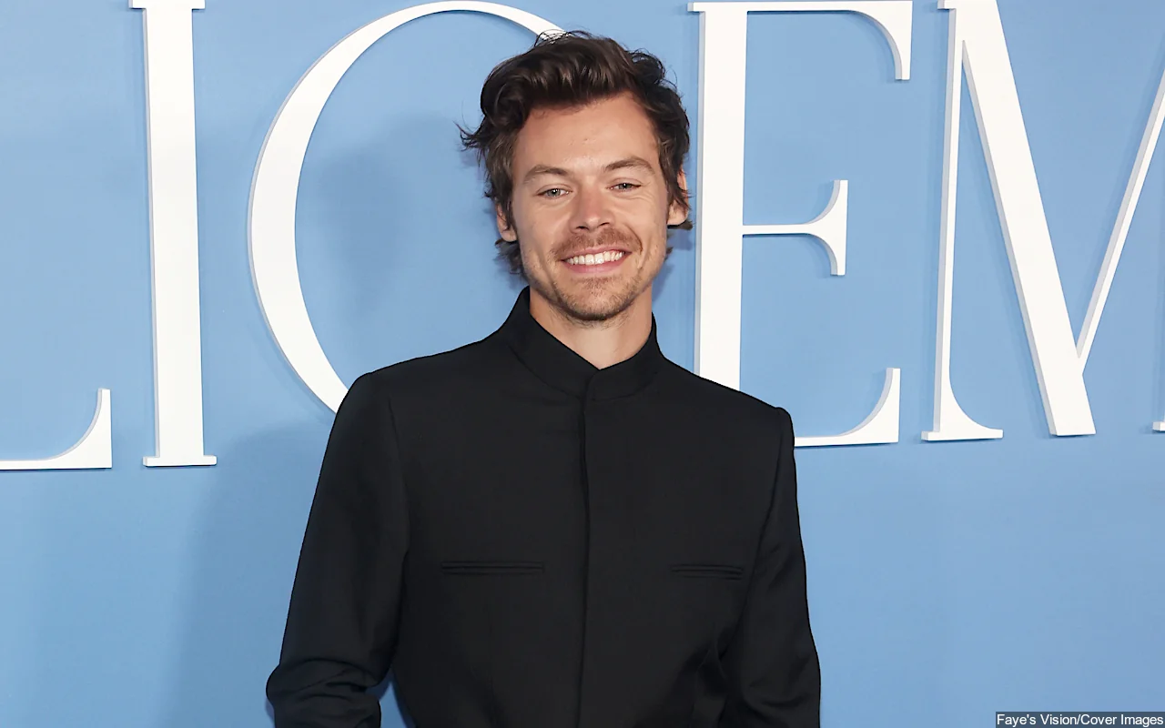 Harry Styles' Alleged Stalker Charged for Causing 'Distress' as Singer ...