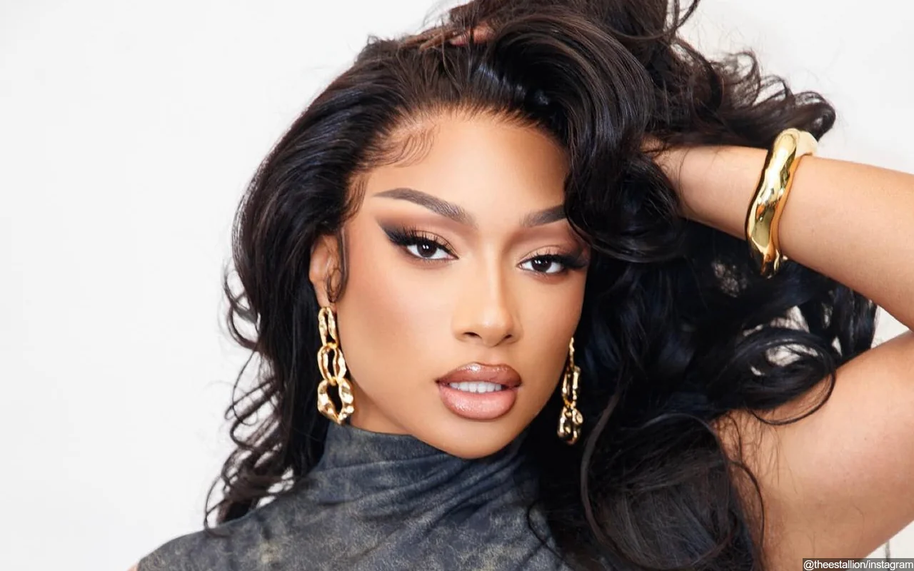 Megan Thee Stallion Dances to Unreleased Track 'Toxic' During IG Live
