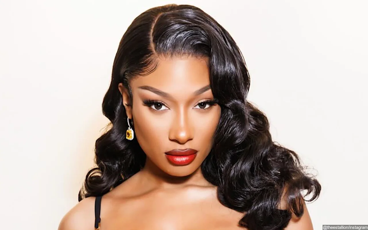 Megan Thee Stallion Reveals Video Game-Themed CD Cover Arts for New Single 'BOA'