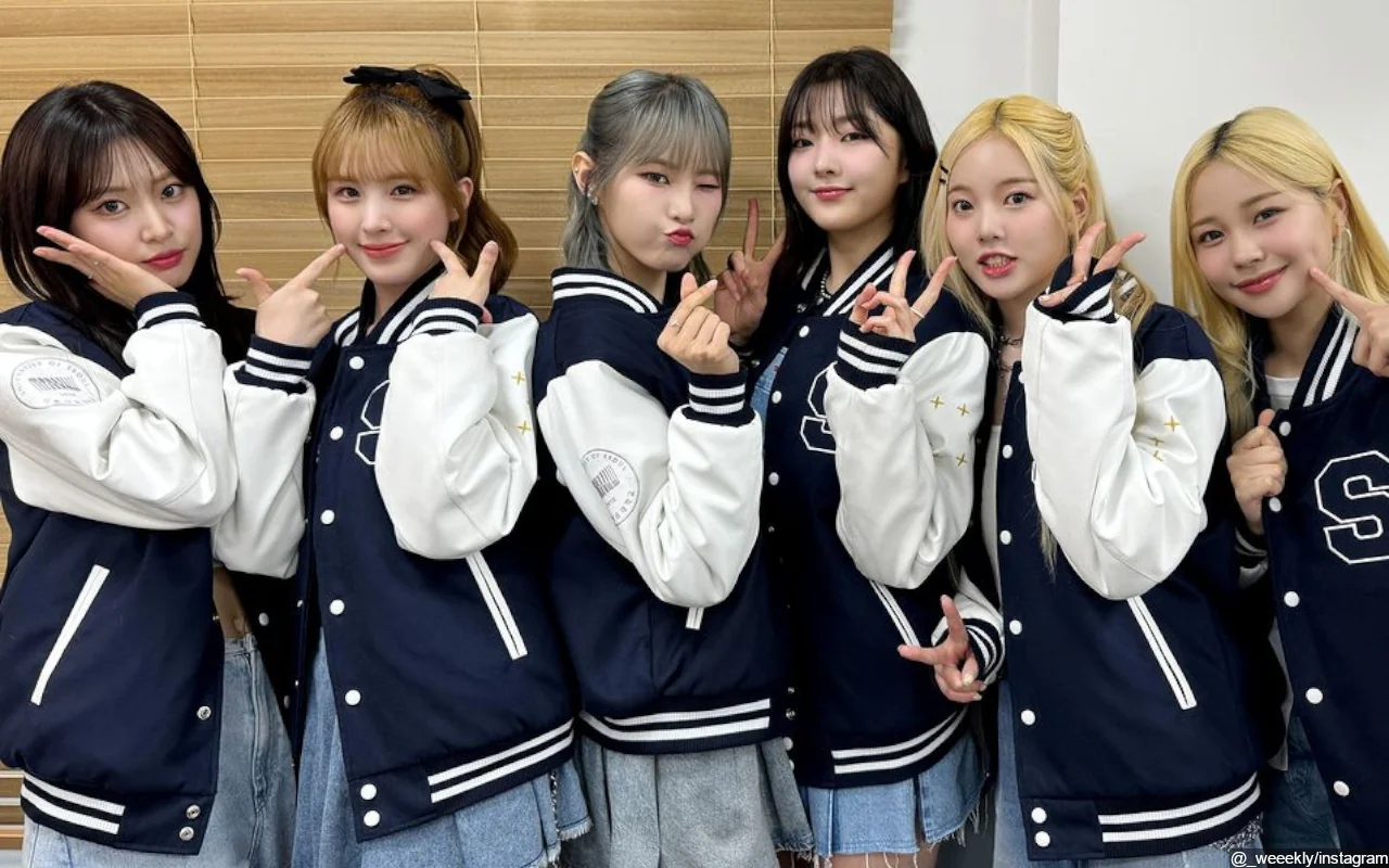 Meet the Weekly Members: Exclusive Profiles, Latest News and Updates!