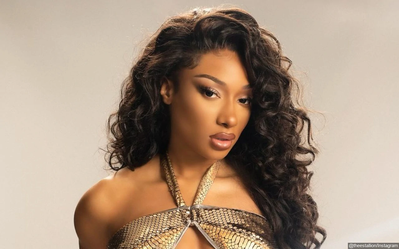 Megan Thee Stallion Surprisingly Announces New Album 'MEGAN'