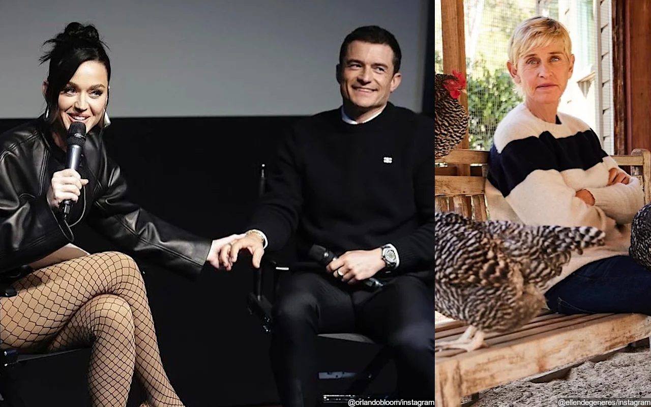 Katy Perry, Orlando Bloom and Other Stars Show Support for Ellen ...
