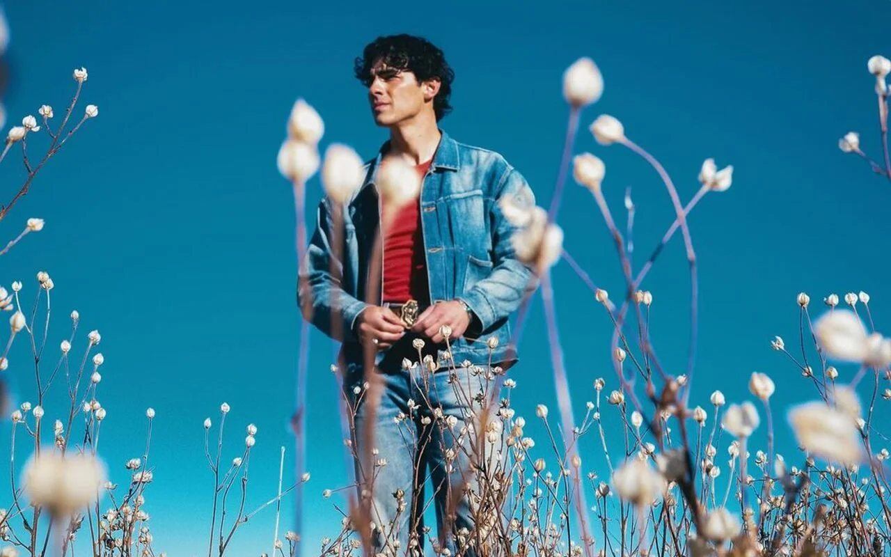 Joe Jonas Debuts New Solo Single 'Work It Out': A Glimpse Into His ...