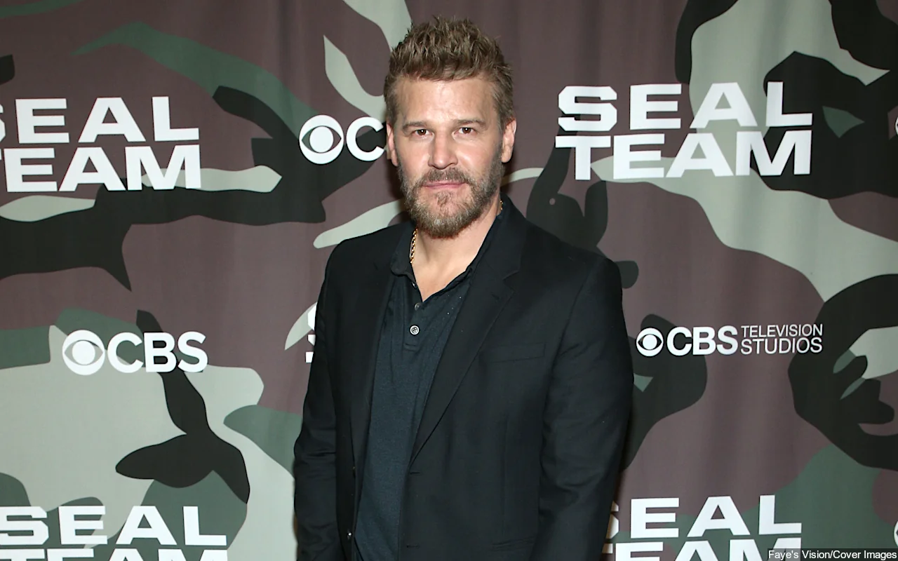 David Boreanaz's Physical Toll Ends 'SEAL Team' After Seven Seasons