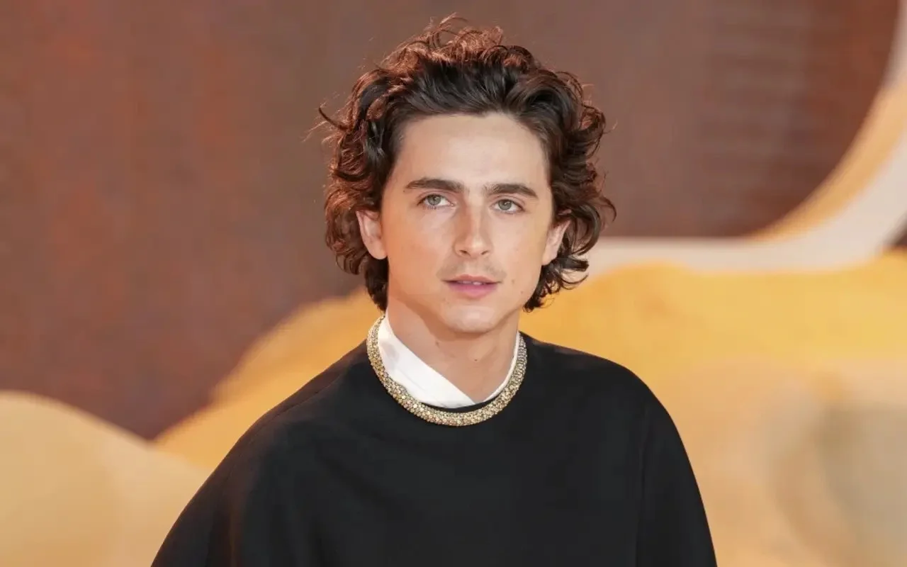 Timothee Chalamet Crashes Look-Alike Contest: Chaos, Police ...