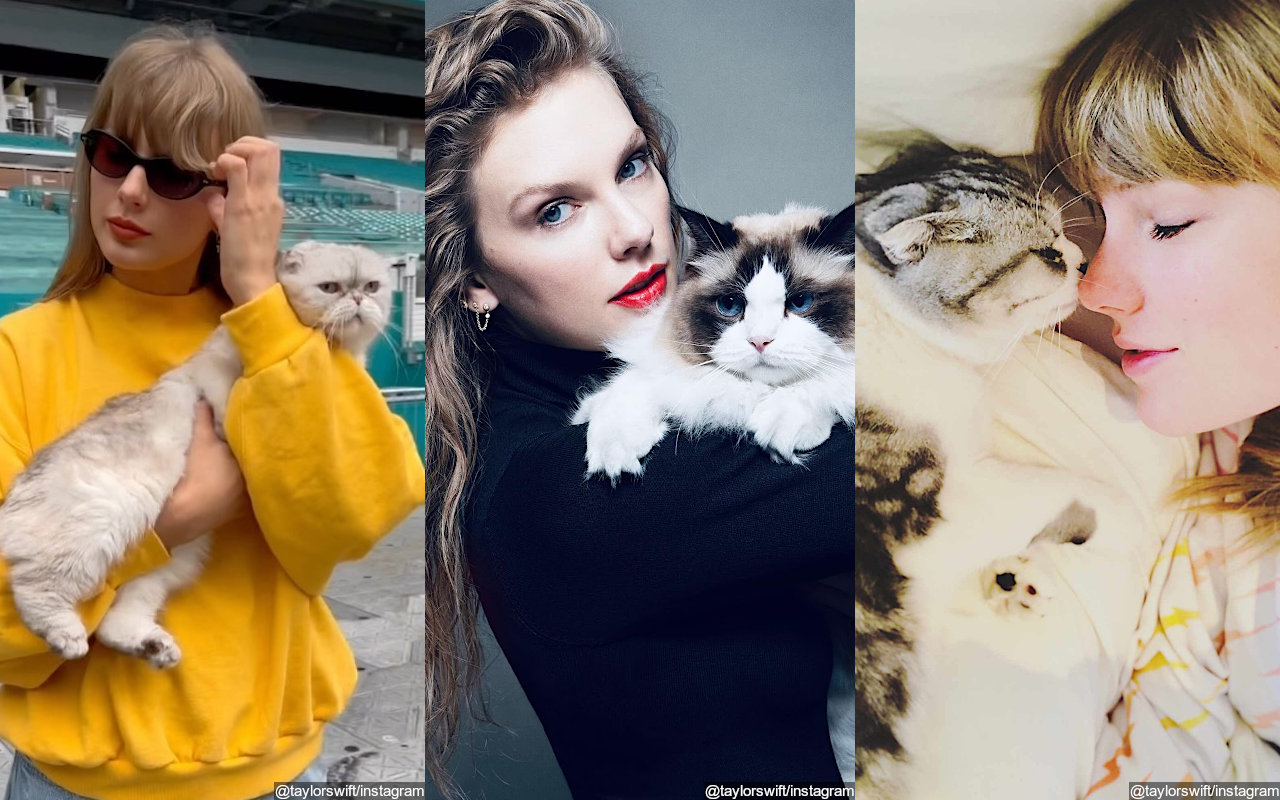 Celebrities' Most Famous Pets