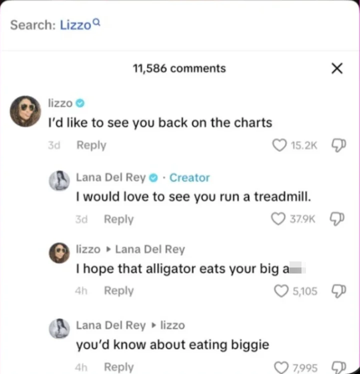 Lizzo and Lana Del Rey Not Feuding After Allegedly Exchanging Rude ...